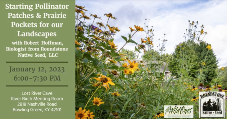 Starting Pollinator Patches & Prairie Pockets at Home - Lost River Cave