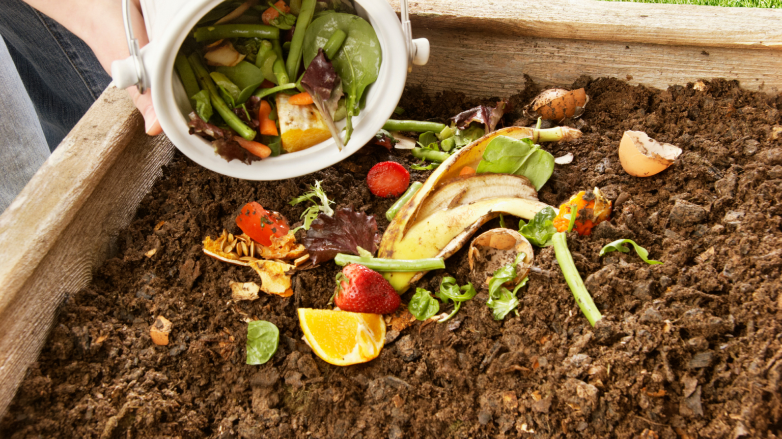 Earth Week: Composting 101 - Lost River Cave